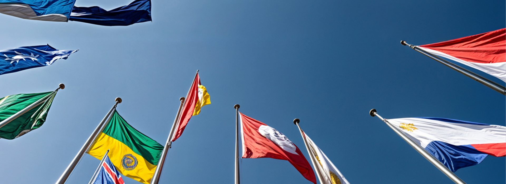 INSURANCE & FLAG ADMINISTRATION - Edelweiss MGT